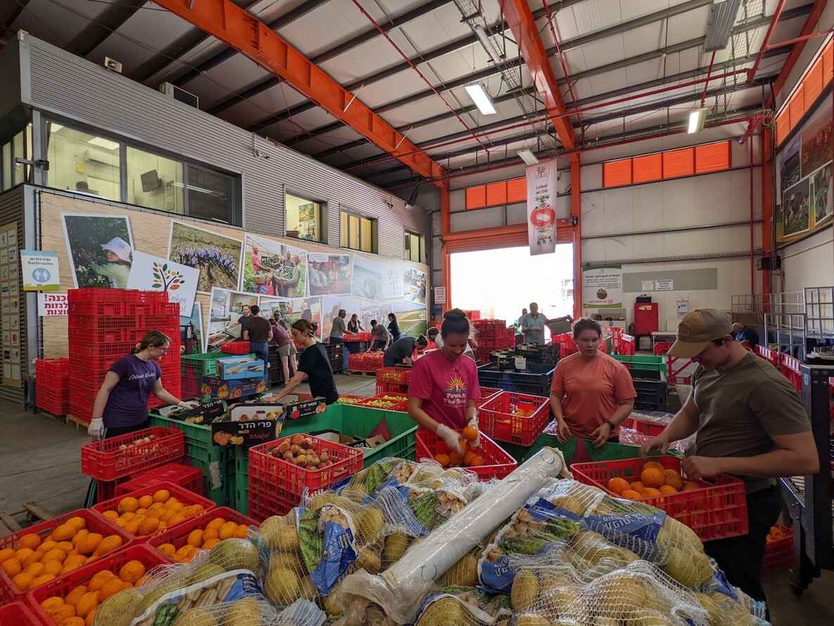 Help Feed Israelis in Need – Christian Friends of Leket Israel