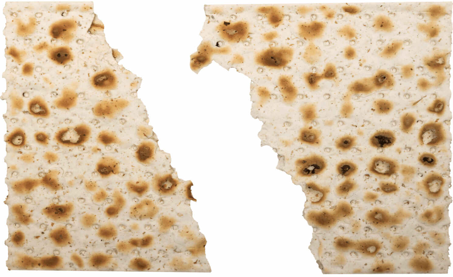 Passover Message – Christian Friends of Leket Israel